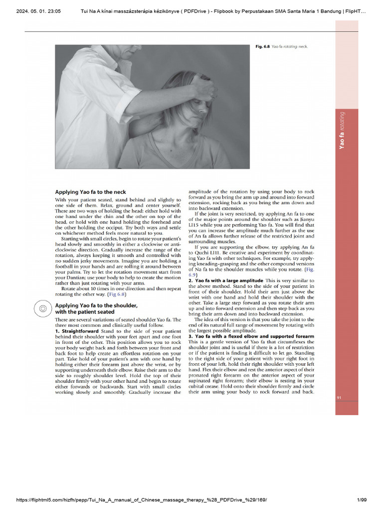 Tui Na | PDF