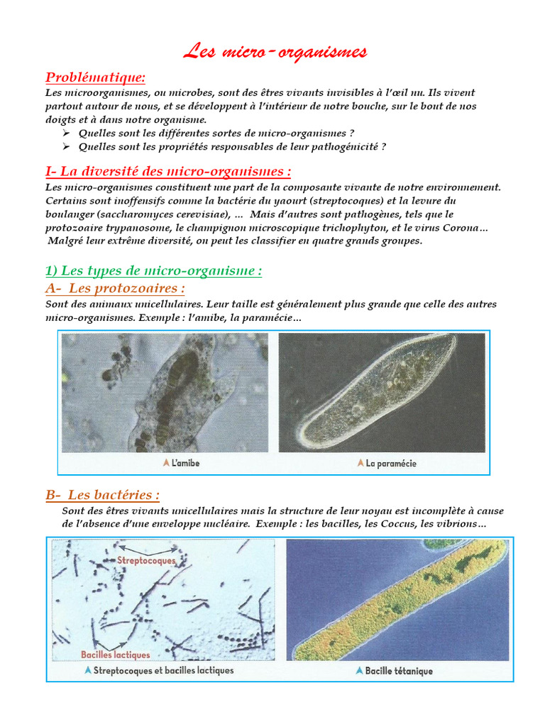 Les Microbes Cours SVT 3AC 3 | PDF | Micro-organisme | Bactérie