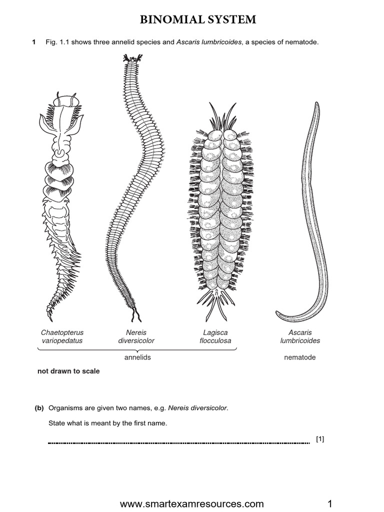 Understanding Species and Genus Definitions | PDF | Zoology