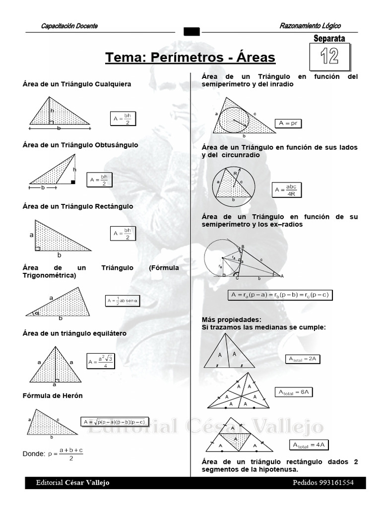 Fórmulas y Ejercicios de Perímetros y Áreas | PDF | Triángulo | Rectángulo