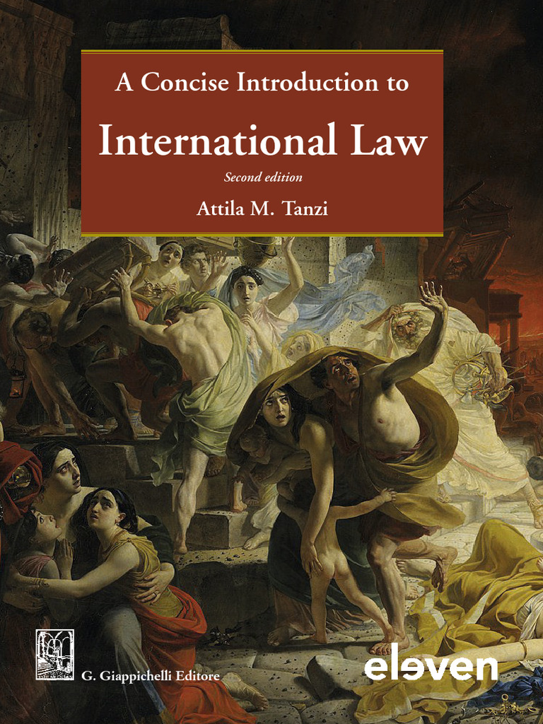 A Concise Introduction To International Law 9789462363397 | PDF | International Law ...