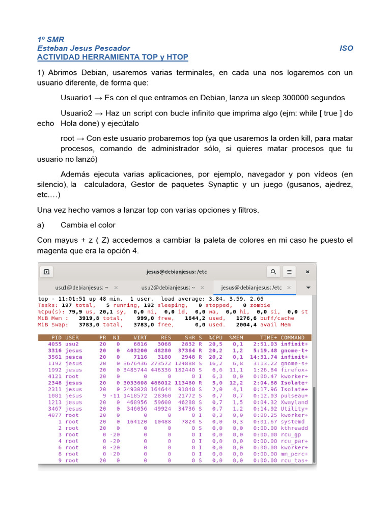 Uso de top y HTOP en Debian | PDF | Ingeniería Informática | Informática
