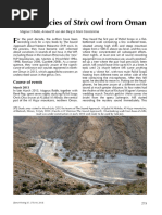 Owl Babies - Waddell, Martin Benson, Patrick, Ill | PDF | Birds Of Prey