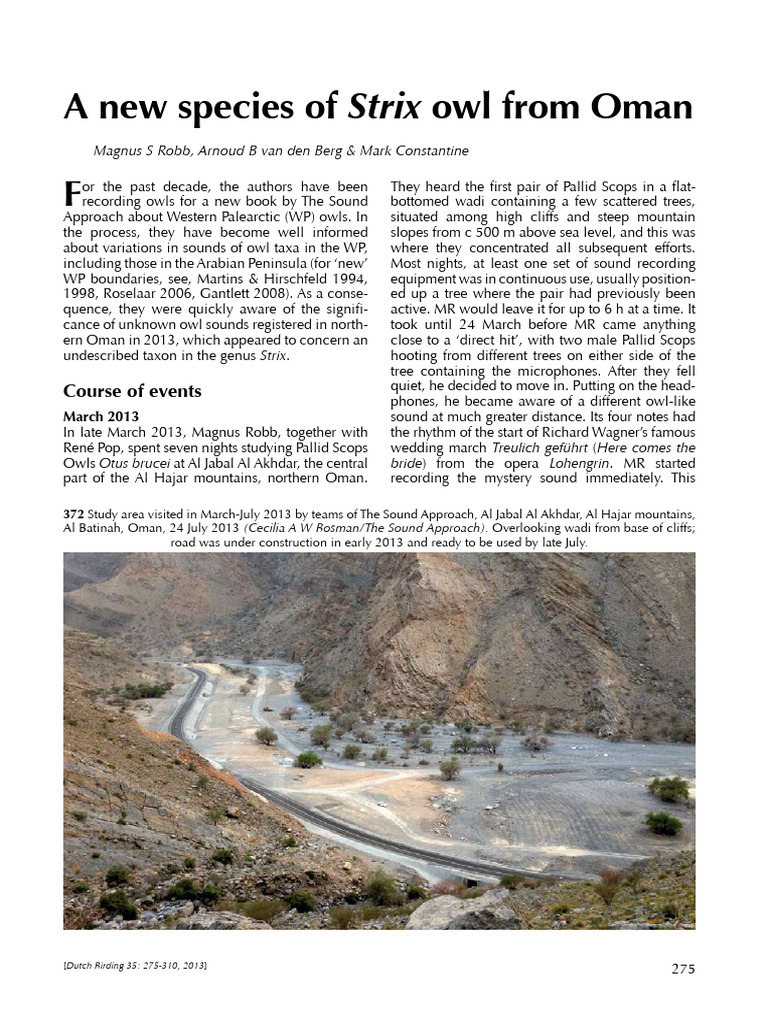 New Strix Owl Species Discovered in Oman | PDF | Raw Image Format