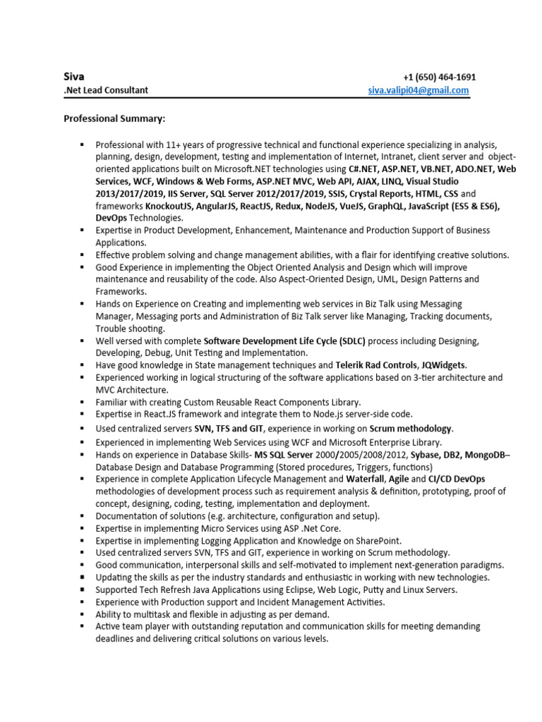 Dice Resume Cv Siva V Pdf Software Development Process World Wide Web