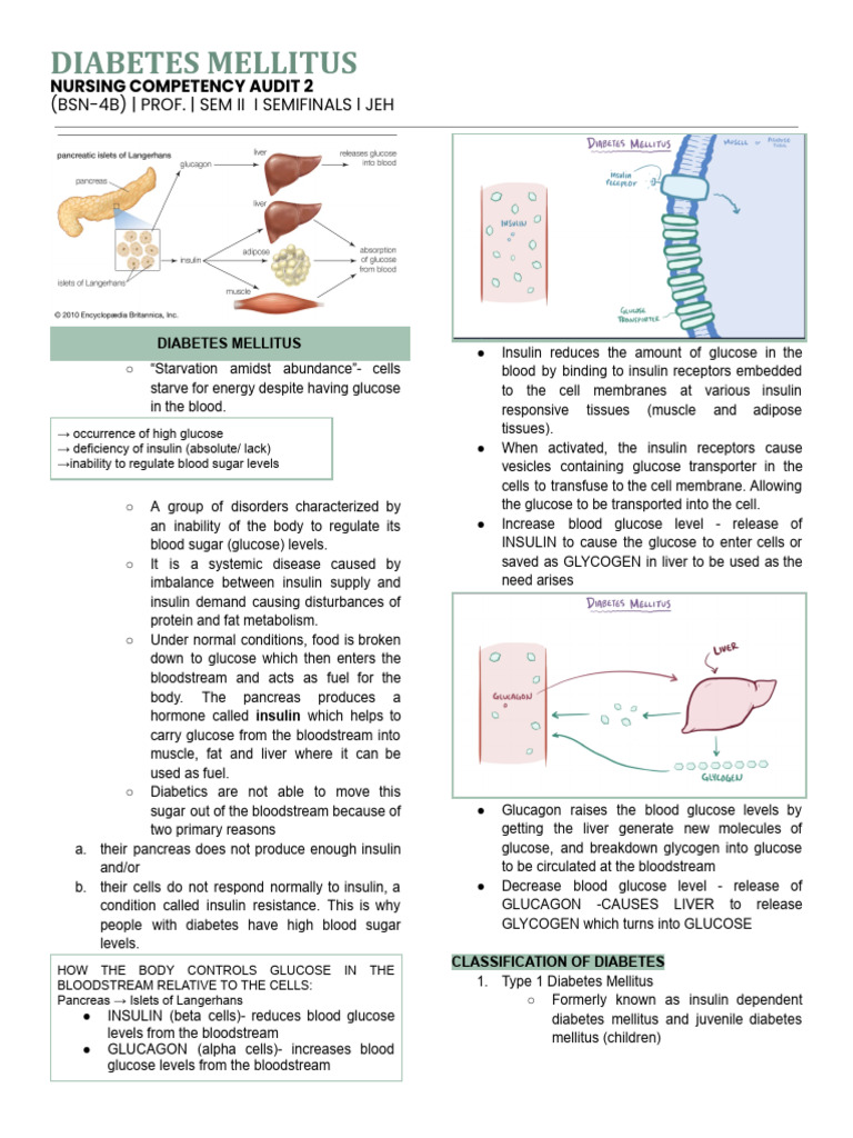 Diabetes Mellitus | PDF | Hypoglycemia | Insulin
