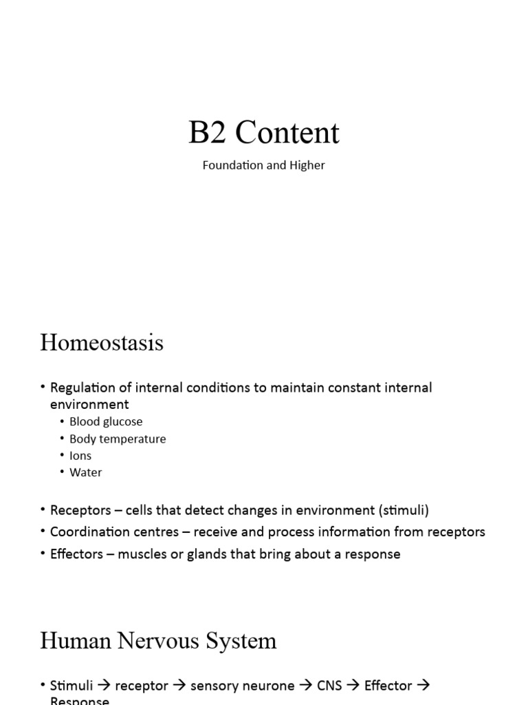 B2 Paper Handout | PDF | Dominance (Genetics) | Evolution