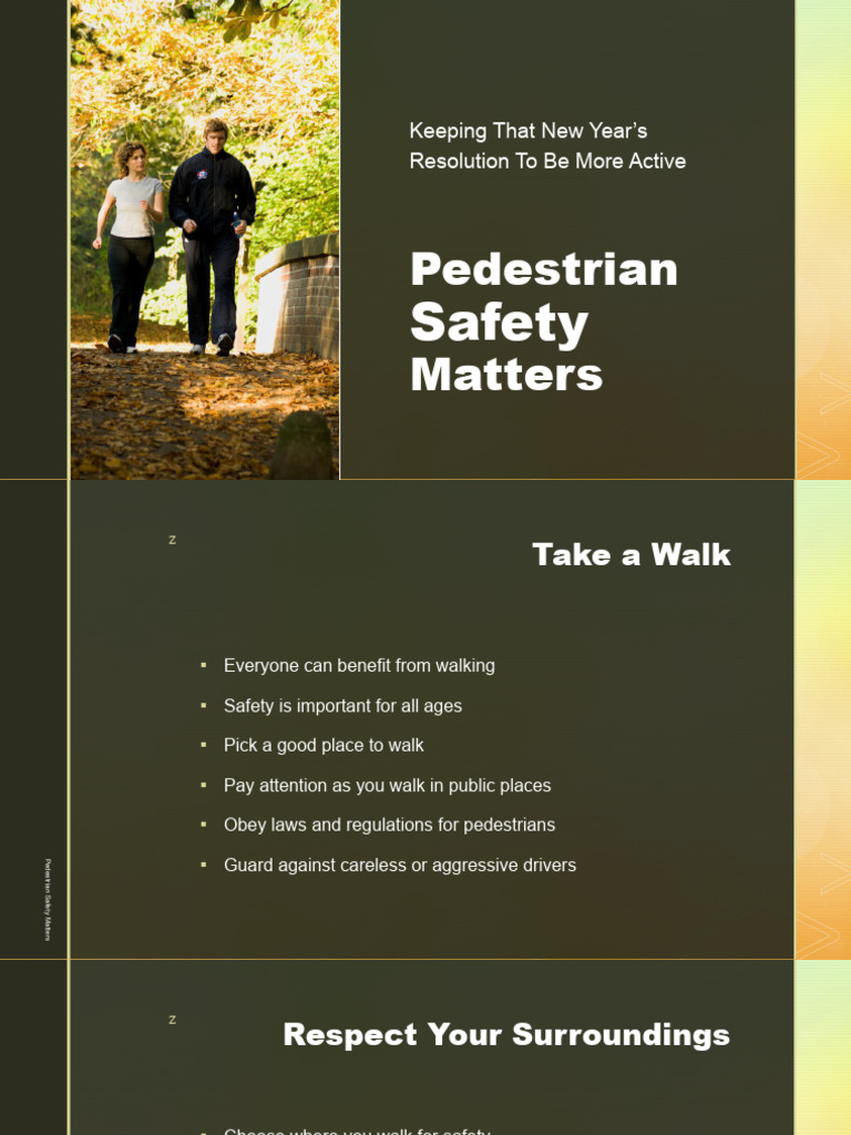 Pedestrian Safety Matters | PDF | Traffic | Road Traffic Safety