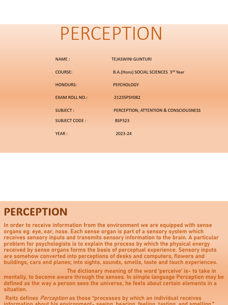 Theories of Perception | PDF | Perception | Senses