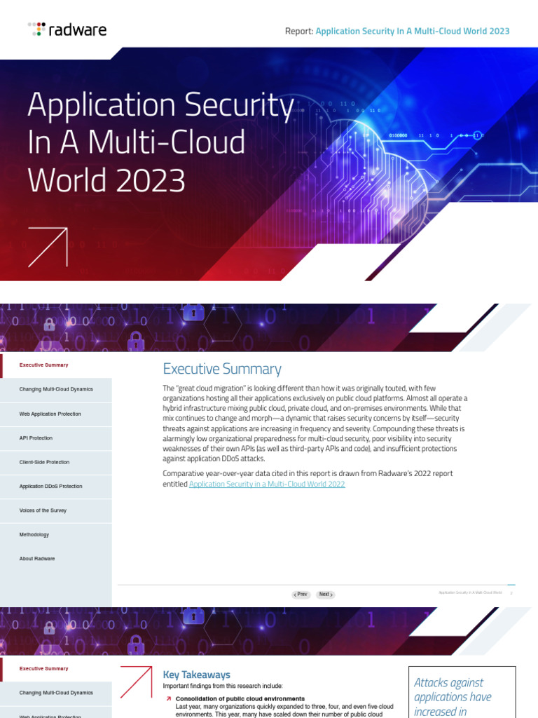 Radware ApplicationSecurityMultiCloud Report 2023 1239.cleaned | PDF | Cloud Computing | Dynamic ...