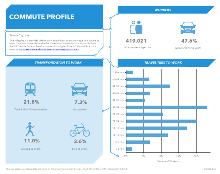 Business Analyst Web App Infographics Commute Profile | PDF | Commuting ...