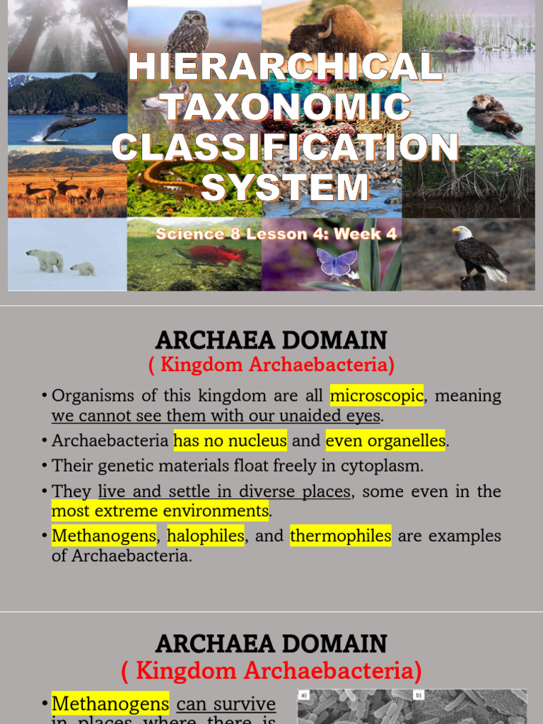 Hierarchical Taxonomy Guide | PDF | Archaea | Fungus
