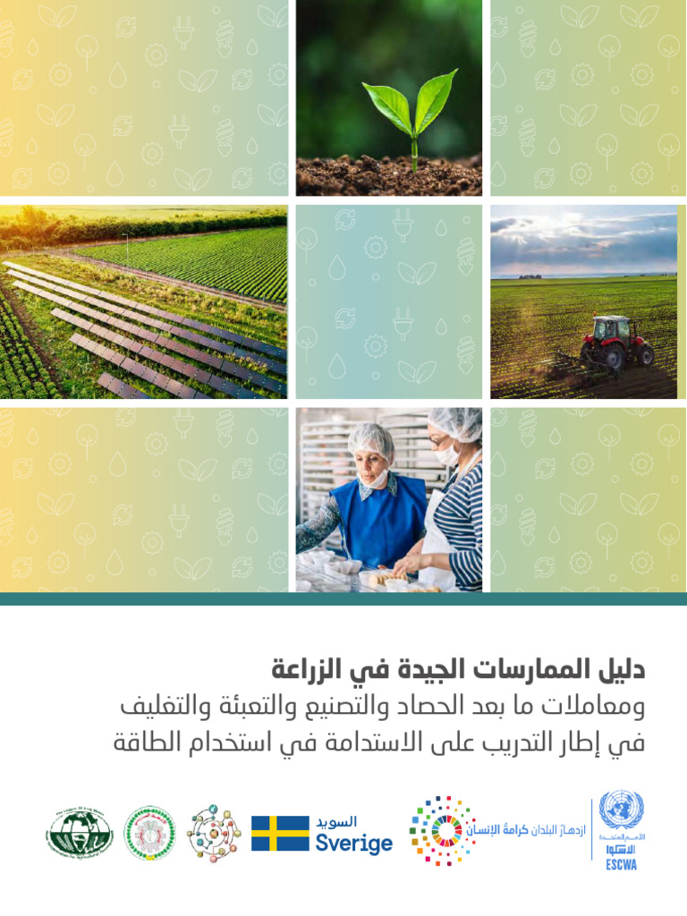 Good Practices Guide Agriculture Arabic | PDF