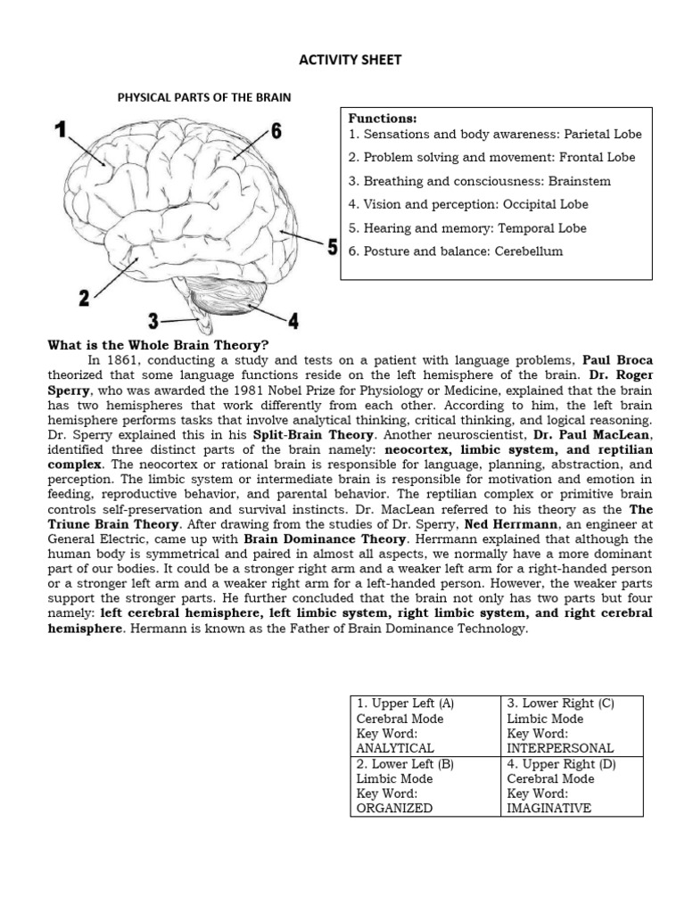 Parts of The Brain | Download Free PDF | Neuroscience | Cognitive Science