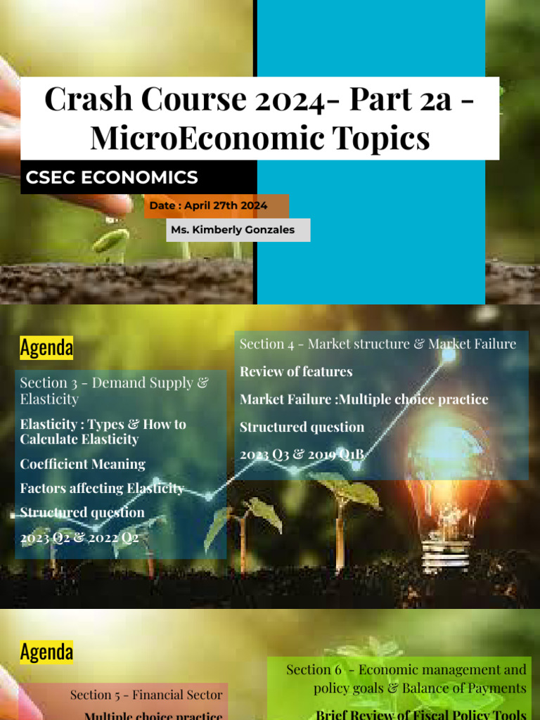 Crash Course 2024 - Part 2 - Slides | PDF | Elasticity (Economics) | Demand
