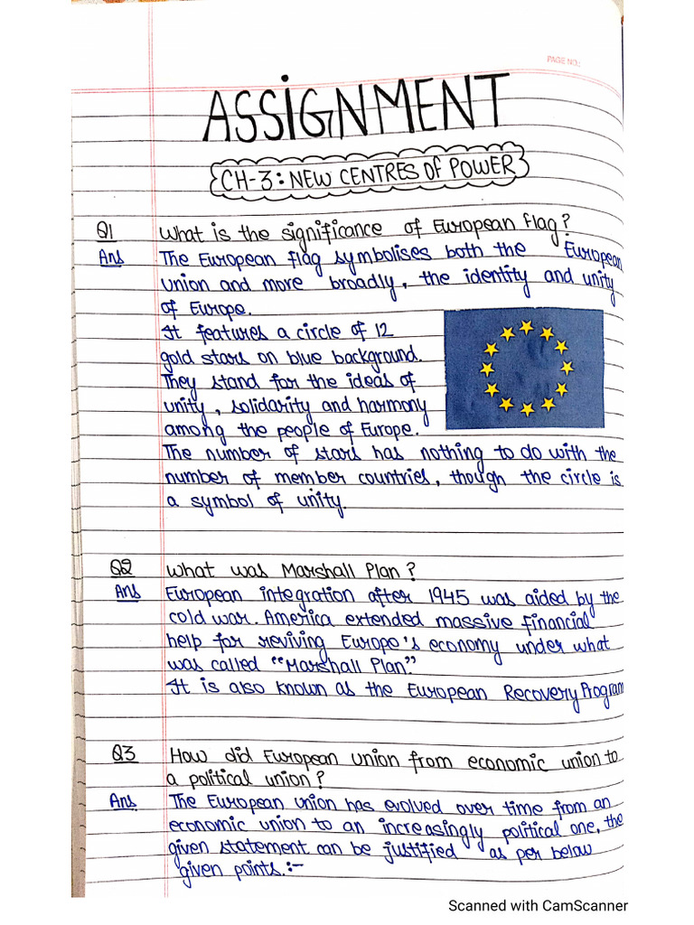 Political Assignment Ch3 | PDF