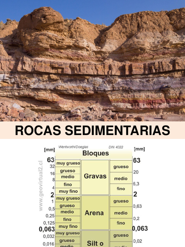 Tipos de Rocas Sedimentarias y Sus Características | PDF | Roca ...