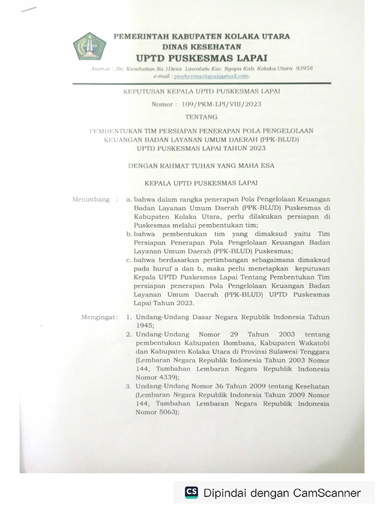 SK TIM PPK-BLUD Puskesmas Lapai | PDF