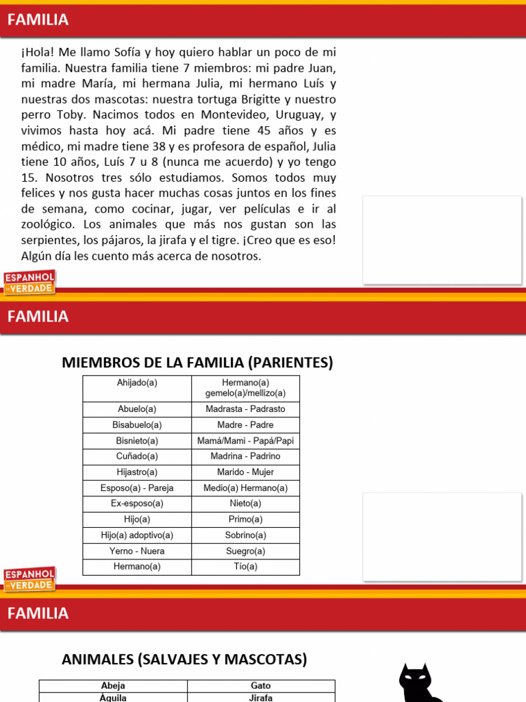 AULA 3. Modulo 3 - Familia - V2 PDF | Descargar gratis PDF | Numero Gramatical | Género gramatical