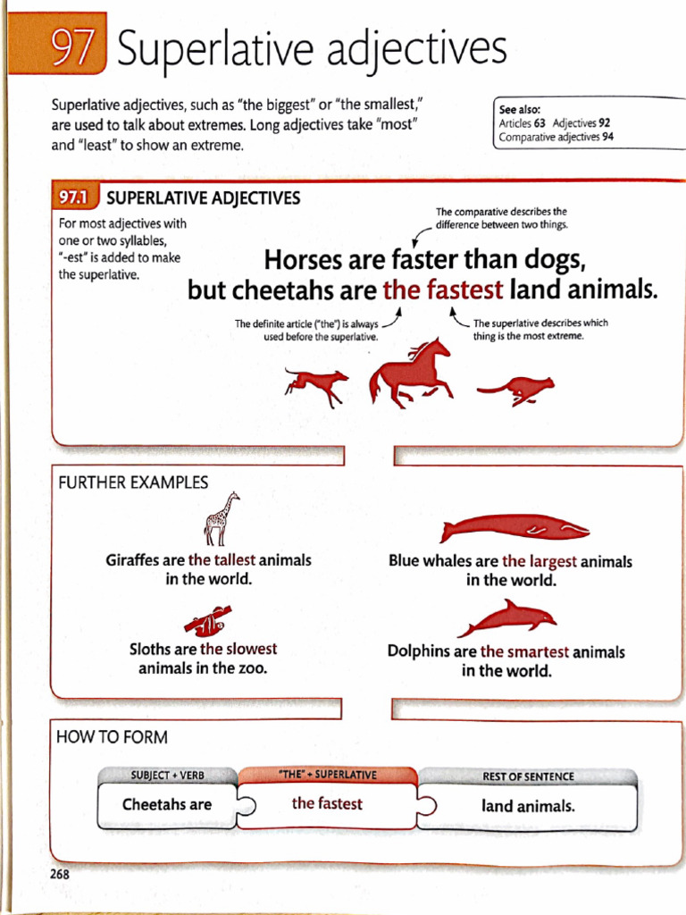 Superlative Adjectives | PDF