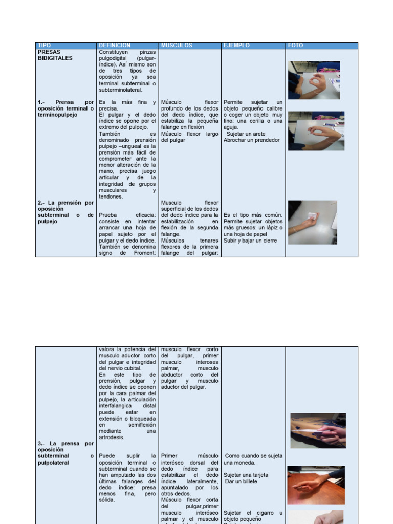 Tipos de Prensión de la Mano | PDF | Mano | Anatomía humana