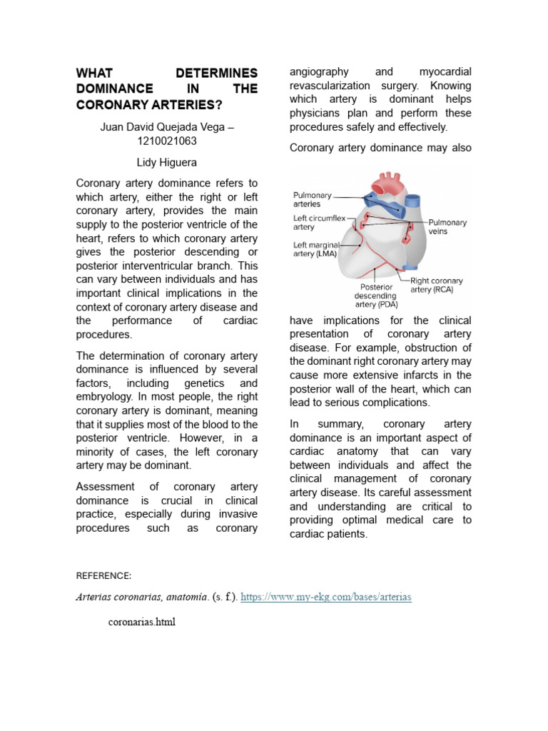 WHAT DETERMINES DOMINANCE IN THE CORONARY ARTERIES - Juan David | PDF ...
