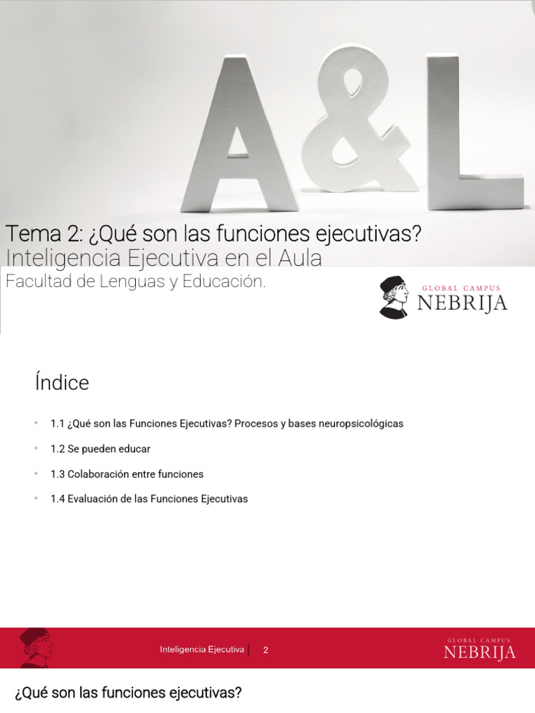 Tema 2 Qué Son Las Funciones Ejecutivas | PDF | Funciones ejecutivas | Aprendizaje