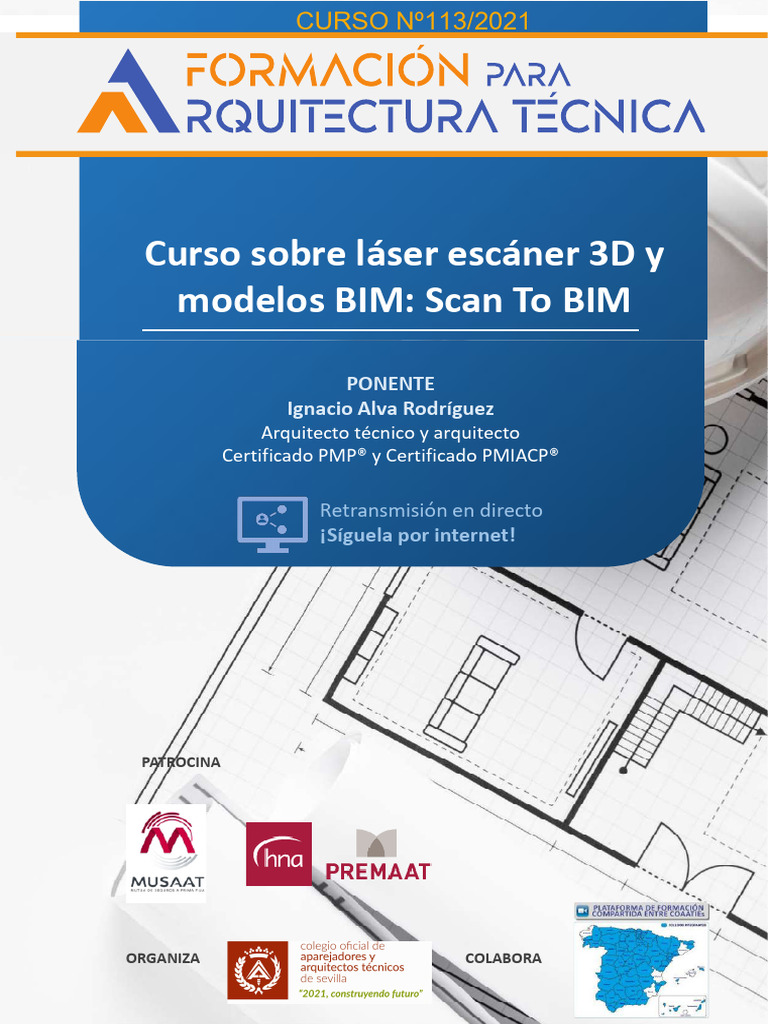 Curso N113-2021 Plataforma Online | PDF