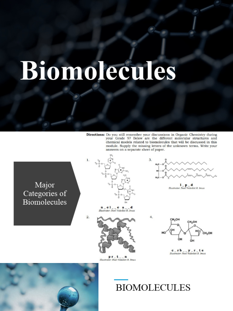 Biomolecules | PDF | Carbohydrates | Nucleic Acids