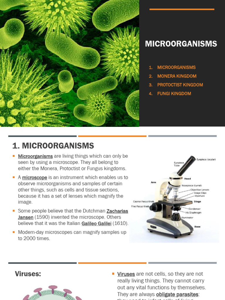 Microorganisms | PDF | Fungus | Protozoa