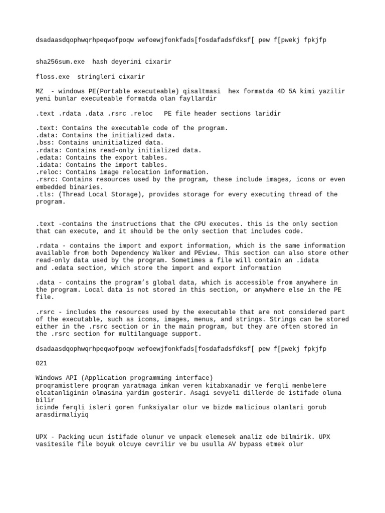 Malware Analysis Notes | PDF