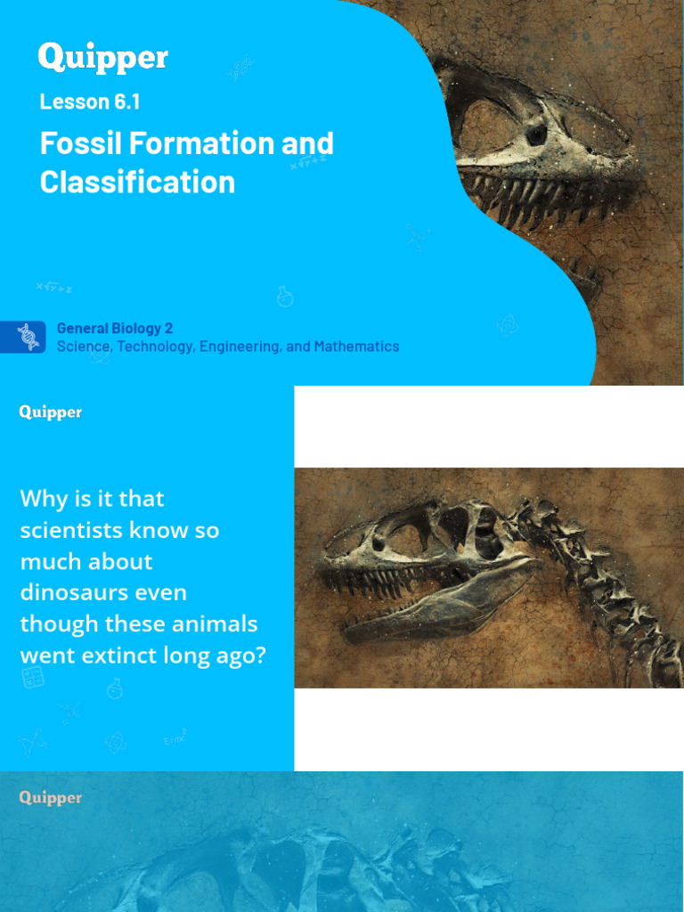 Bio2-11 12 | PDF | Fossil | Stratigraphy