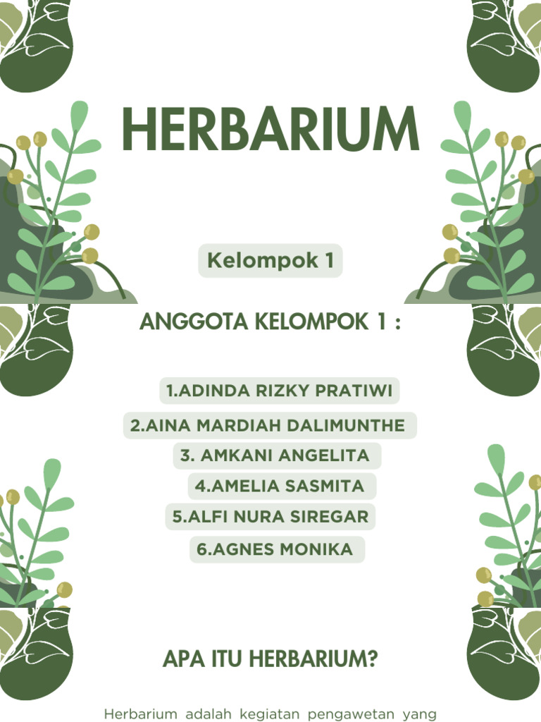 Herbarium | PDF | Griya & Taman | Kesehatan Holistik