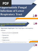 FINAL Faecal Score Guide Digital Version | PDF | Feces
