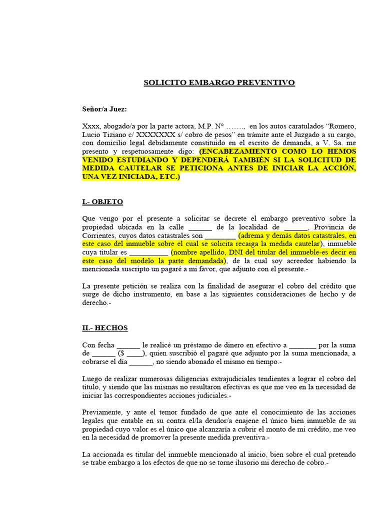 Modelo Medida Cautelar - Embargo Preventivo | Descargar gratis PDF ...