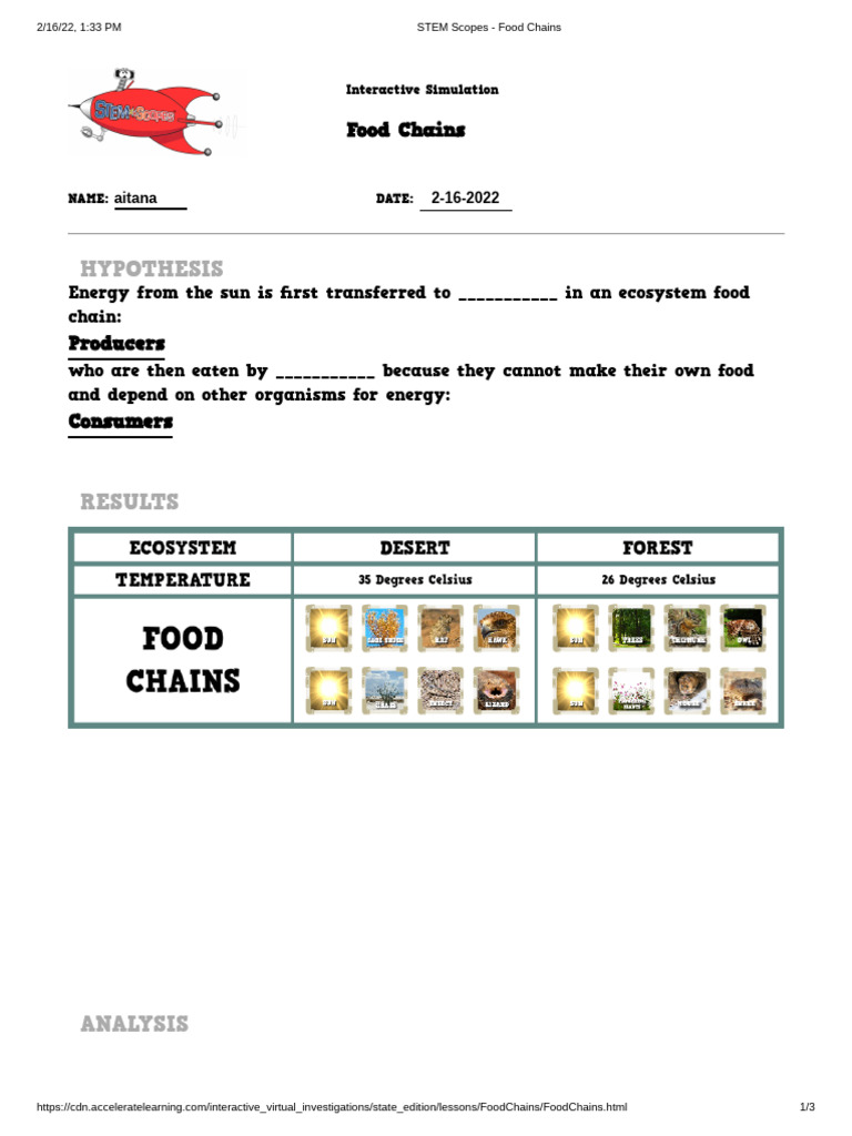 STEM Scopes - Food Chains | PDF | Foods | Ecosystem