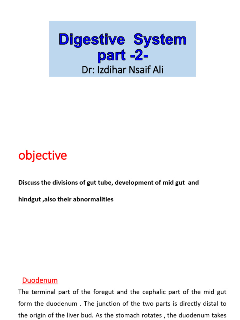 Digestive System Development & Abnormalities | PDF | Liver | Pancreas