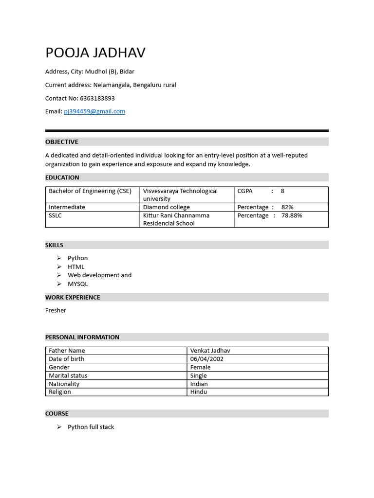 Entry-Level CSE Graduate Resume | PDF