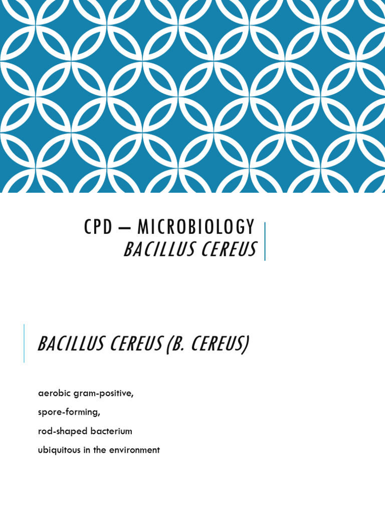 CPD - Microbiology Bacillus Cereus | PDF | Bacillus | Microbiology