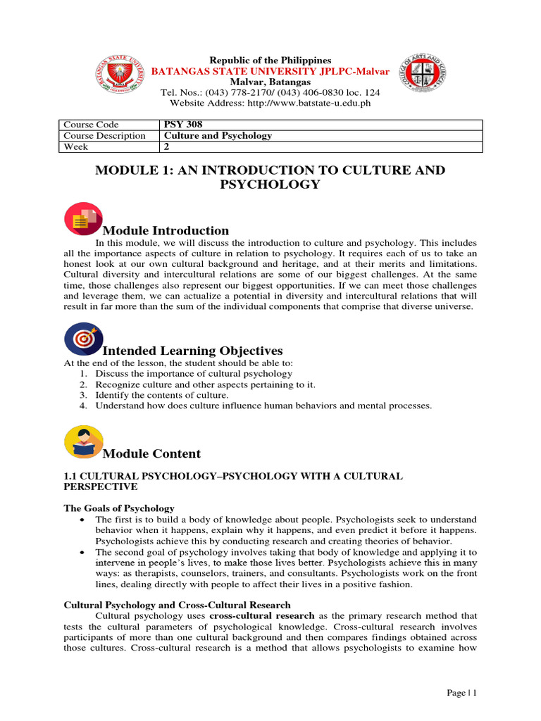 Introduction to Cultural Psychology | PDF | Psychology | Gender Studies