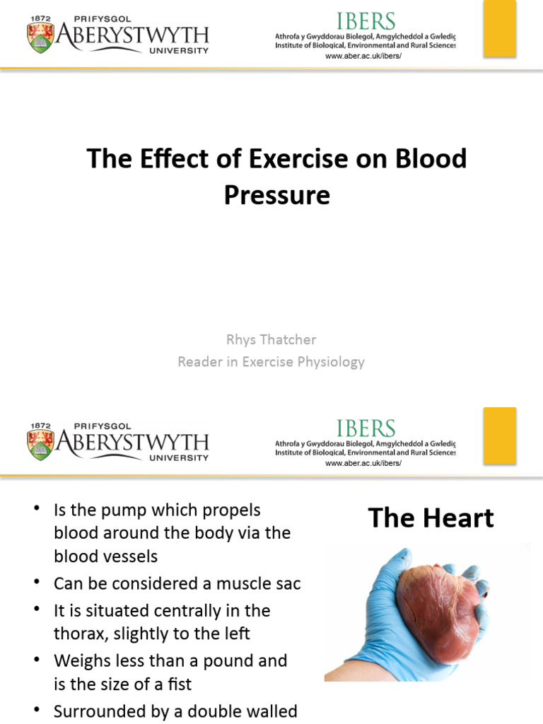 Blood Pressure | PDF | Heart | Blood Pressure