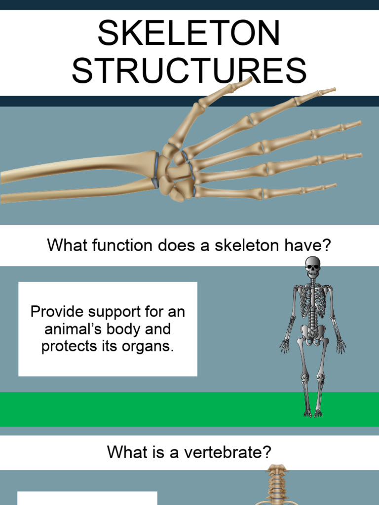 GR 5 T1 Mini-PAT Skeleton Structures Kit | PDF