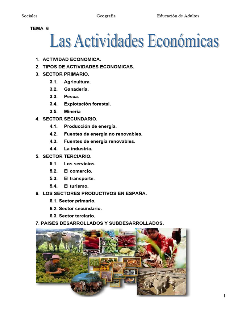 Tema 6. La Actividad Economica | PDF | Energía renovable | Agricultura
