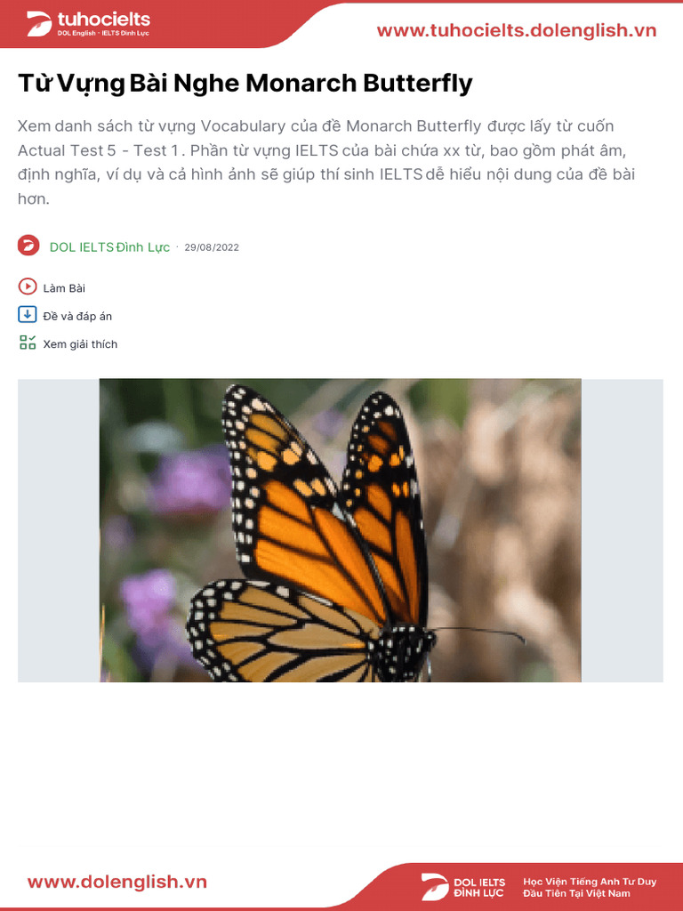 Monarch Butterfly | PDF