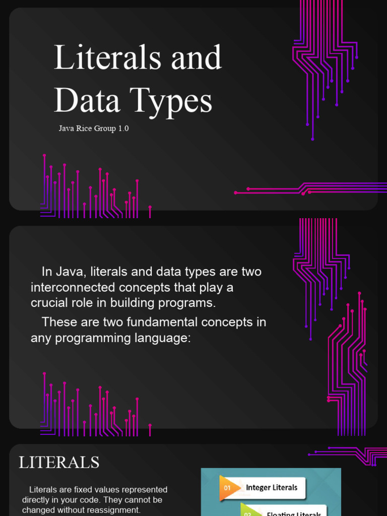 Java Rice Group 1 | PDF | Data Type | Computer Programming
