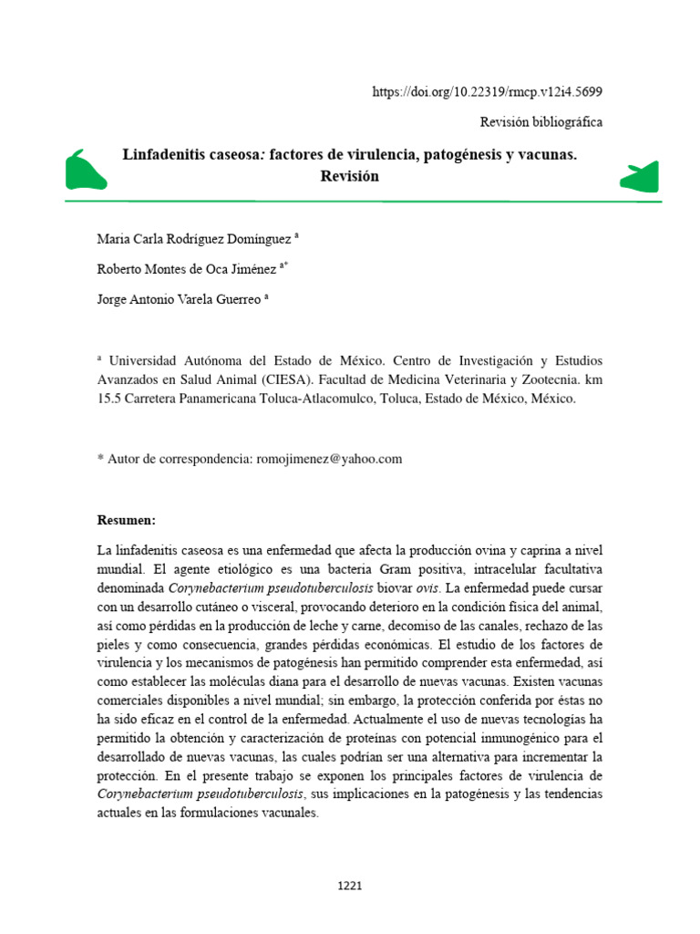 Linfadenitis Caseosa | PDF | Sistema inmune | T Helper Cell