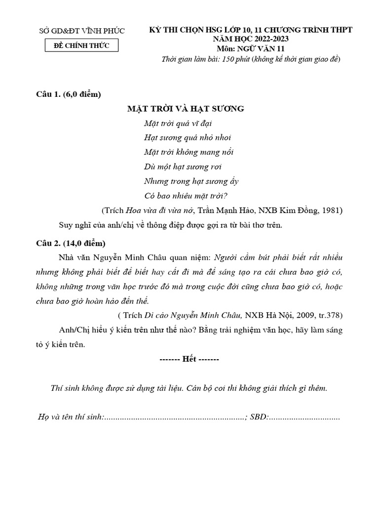 De Thi Hoc Sinh Gioi Ngu Van 11 Nam 2022 2023 So GDDT Vinh Phuc | PDF