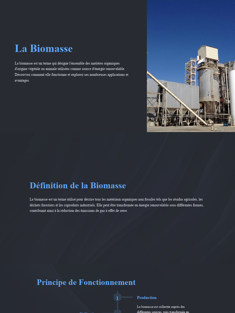 Biomasse : Énergie renouvelable durable | PDF | Biomasse (énergie ...