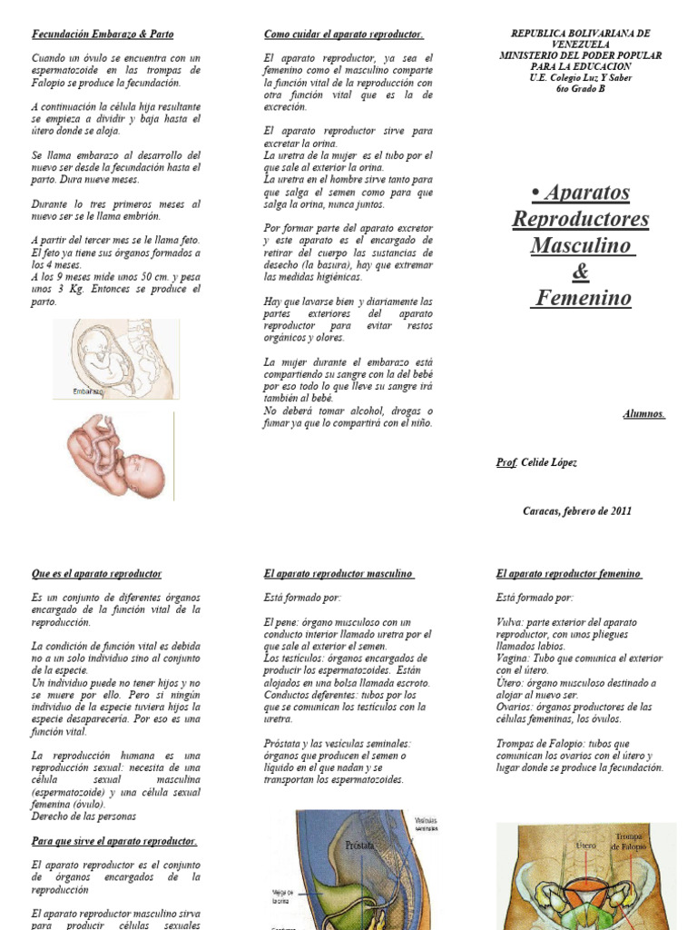 Aparato Reproductor | PDF | Sistema reproductivo | Reproducción humana