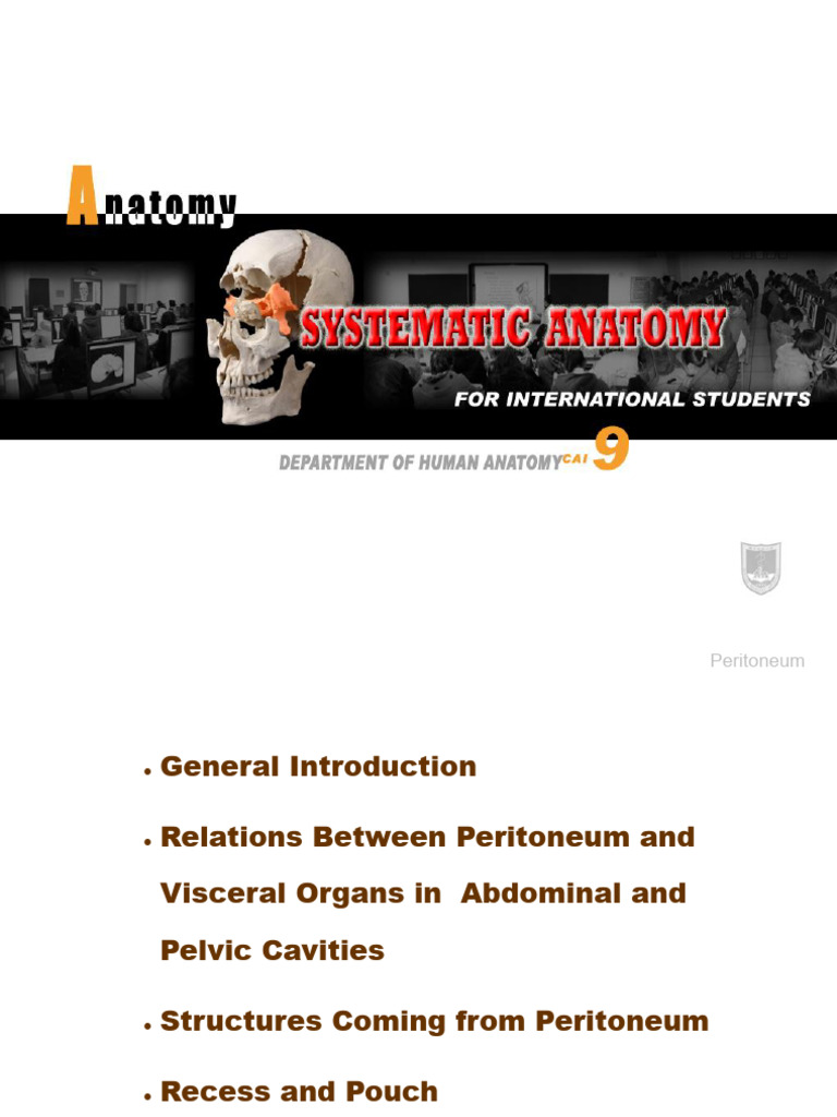 Peritoneum Download Free Pdf Peritoneum Anatomy